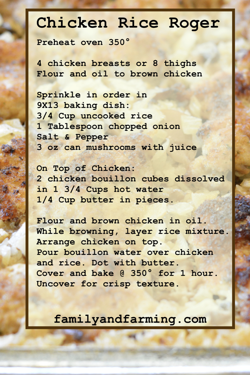 Chickens, It’s Cold Outside! And Chicken Rice Roger • Family and Farming