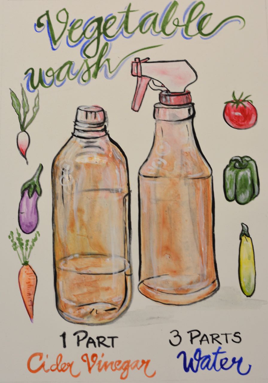 Homemade Produce Cleaner and Hot and Spicy Mustard • Family and Farming