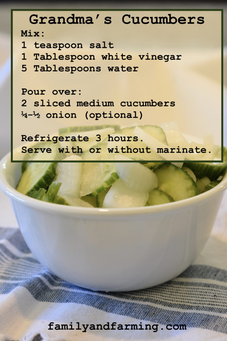 Vintage Cucumber Recipes • Family and Farming