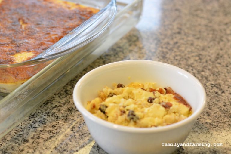 Choosing a New Chicken Flock and Rice Raisin Pudding • Family and Farming