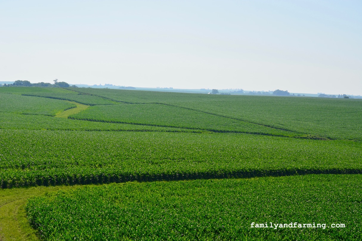 Small Farming Can Save Big Money • Family and Farming