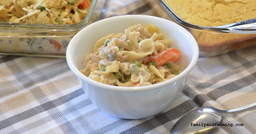 Inflation Fighting Main Dishes • Family and Farming