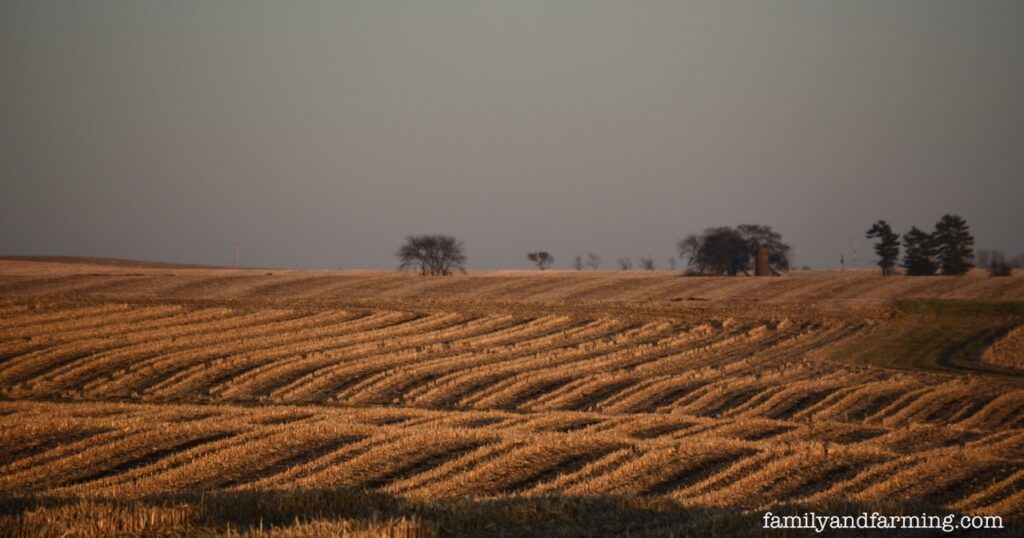 Great is My Thankfulness • Family and Farming