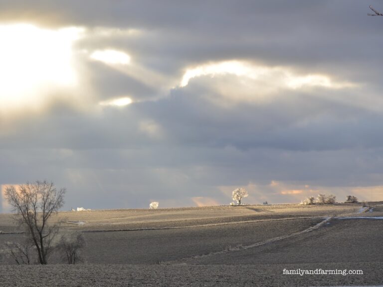 Is Farming the Best Job Ever? • Family and Farming