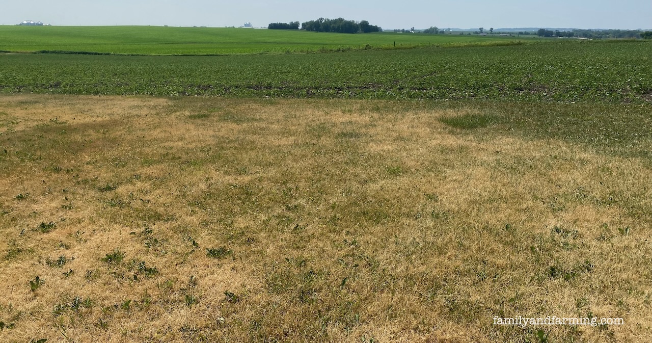 Dealing With Drought • Family and Farming