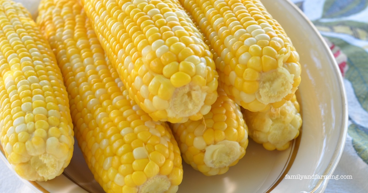Iowa Sweet Corn • Family and Farming