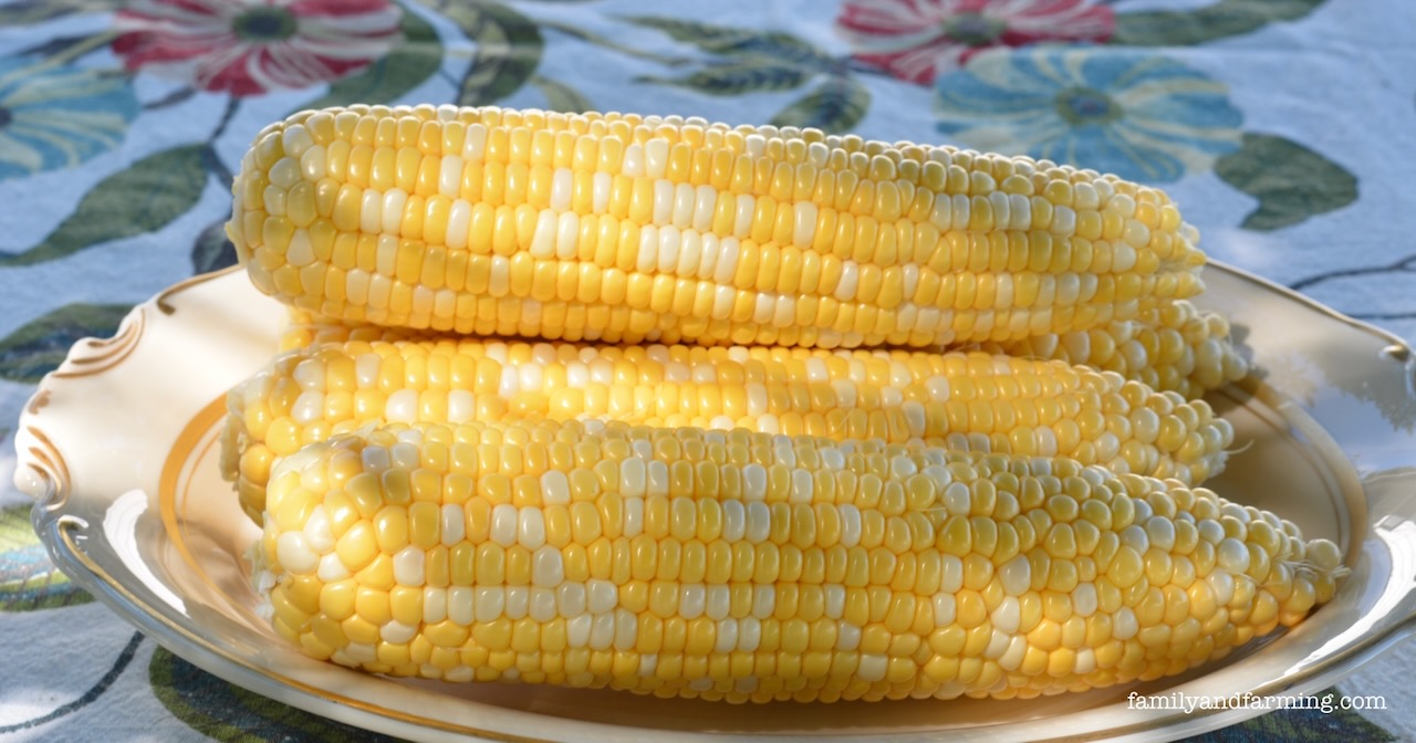 Iowa Sweet Corn • Family and Farming
