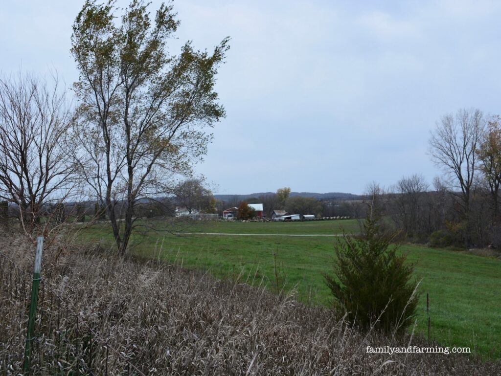 Farm Auction Sale Bill 1944 • Family and Farming