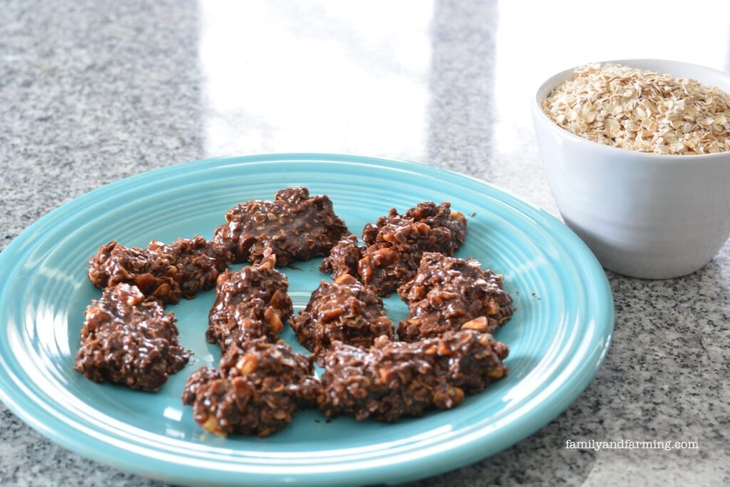 No Flour No Egg No Bake Cookies • Family and Farming
