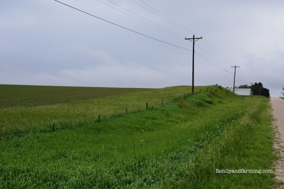 How Farmers Can Save Soil • Family and Farming