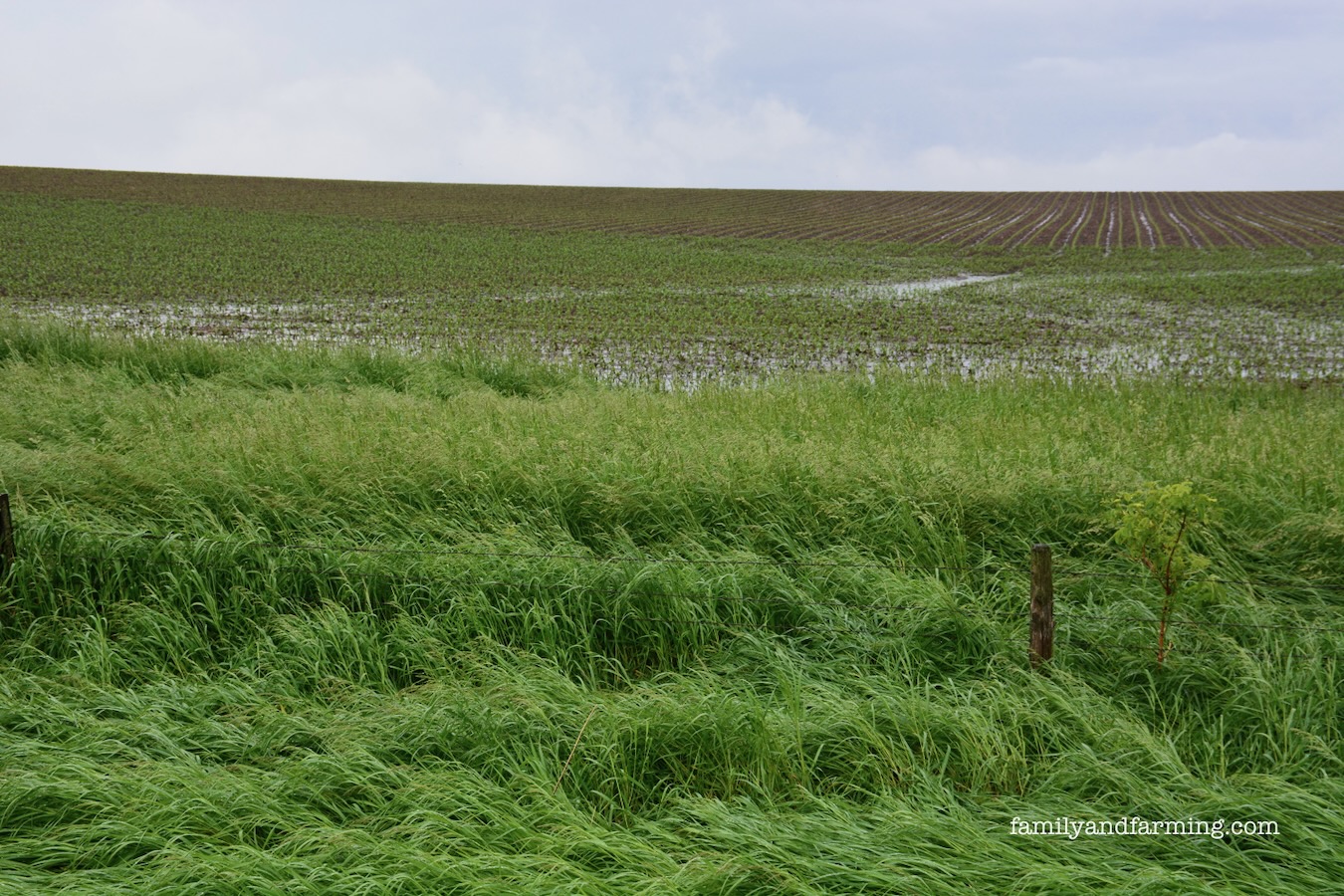 How Farmers Can Save Soil • Family and Farming
